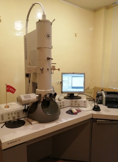 Микроскоп электроный Morgagni 286D